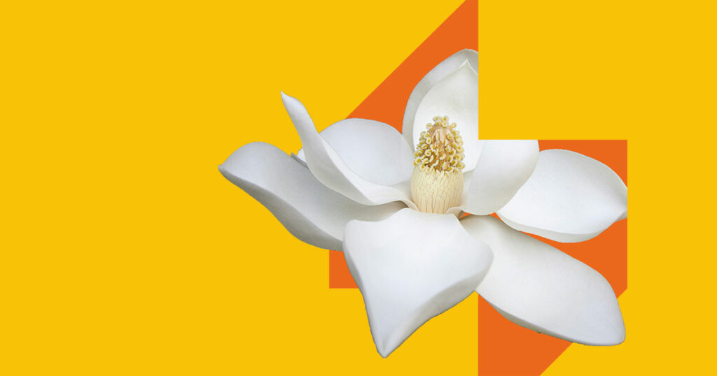 Home - Forsters LLP | Leading London law firm