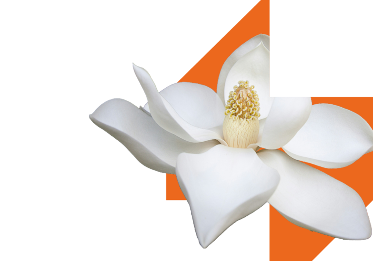 Corporate and commercial - Forsters LLP | Leading London law firm