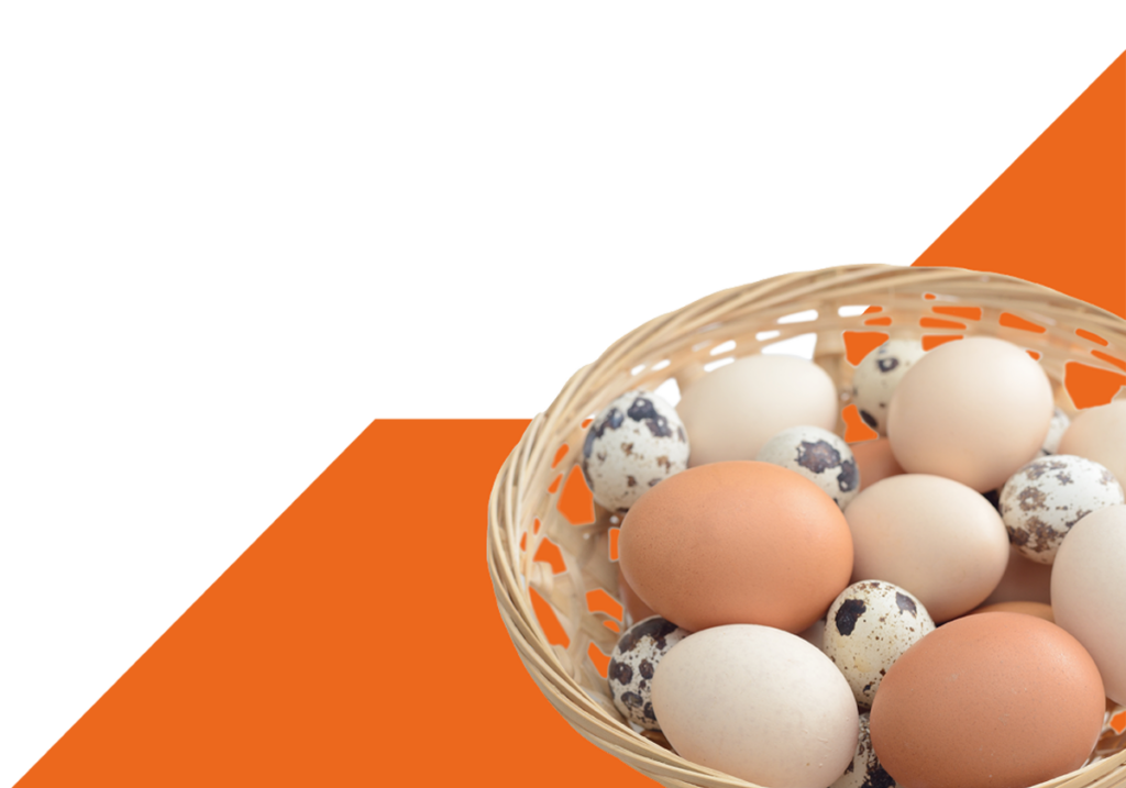 Sectors - Forsters LLP | Leading London law firm