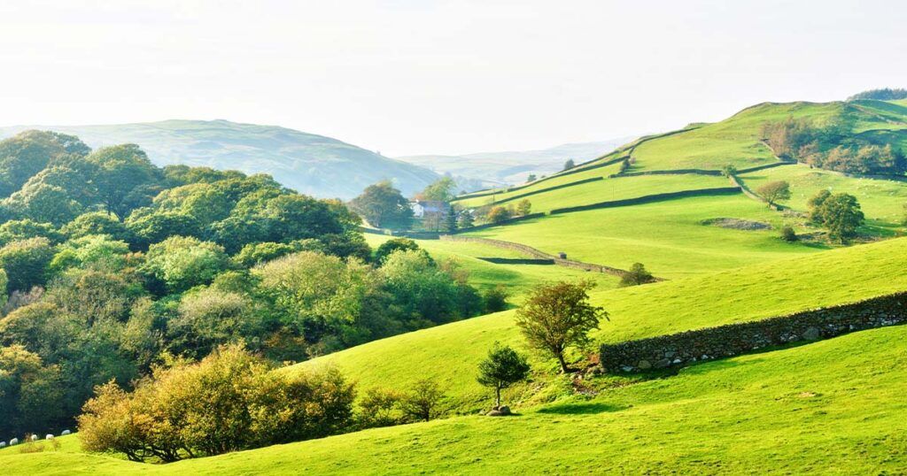 News and views - Forsters LLP | Leading London law firm